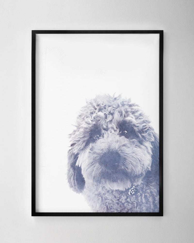 Cavoodle Watercolour Print - Chelsea Chelsea