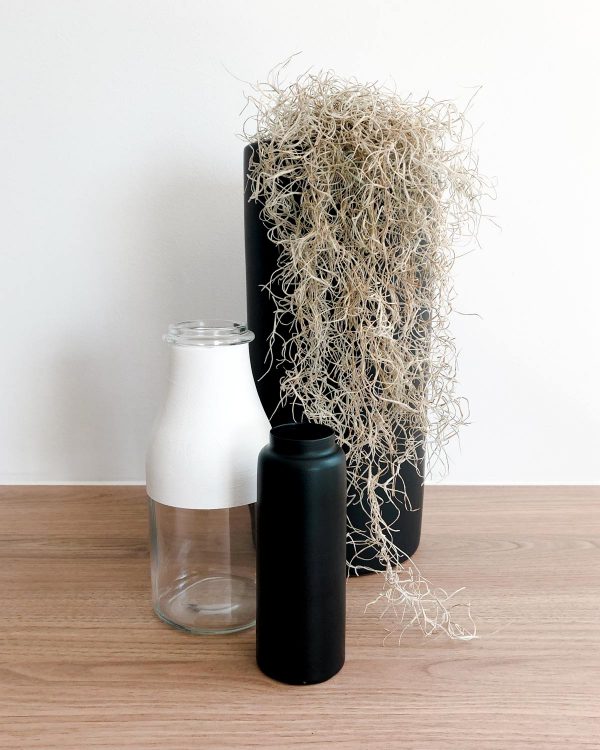 Pots & Planters | Chelsea Chelsea