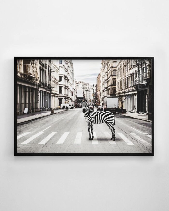 Zebra in the City Print - Chelsea Chelsea