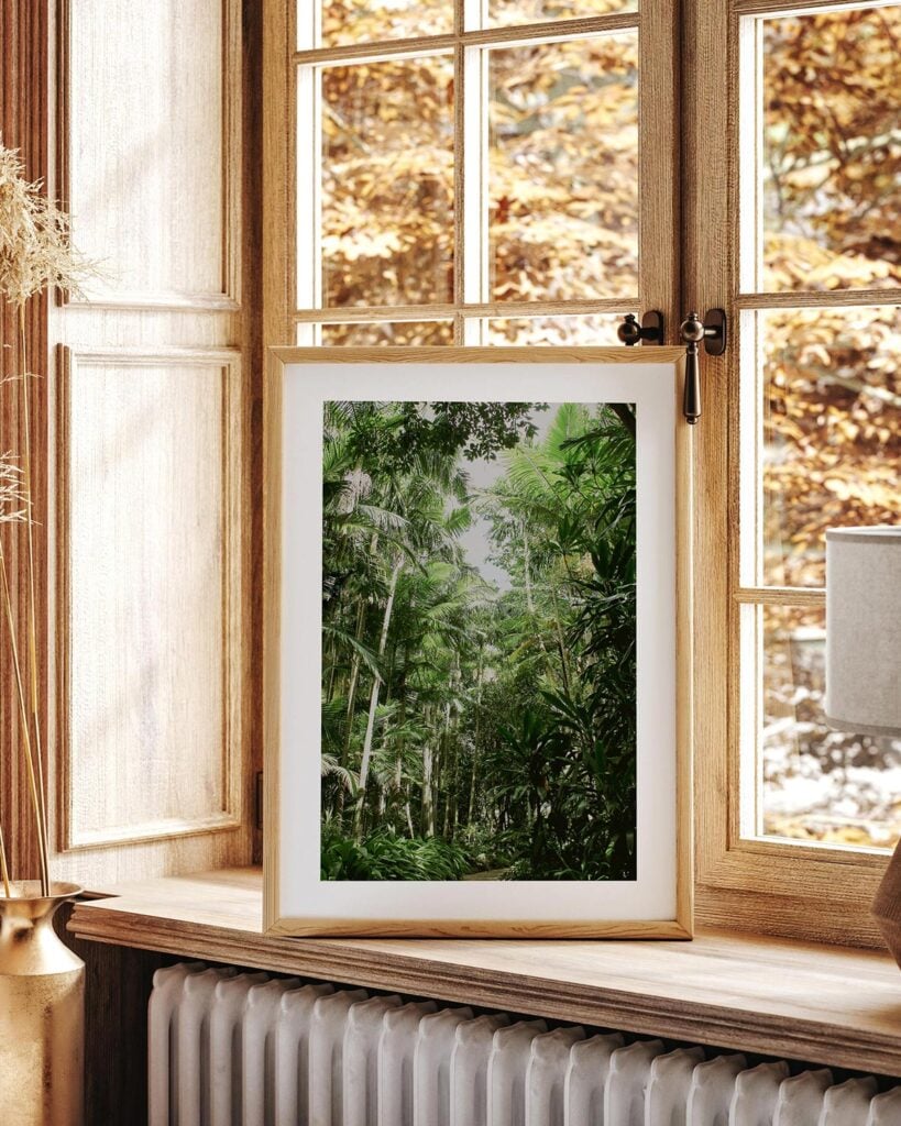 Rainforest Print - Chelsea Chelsea