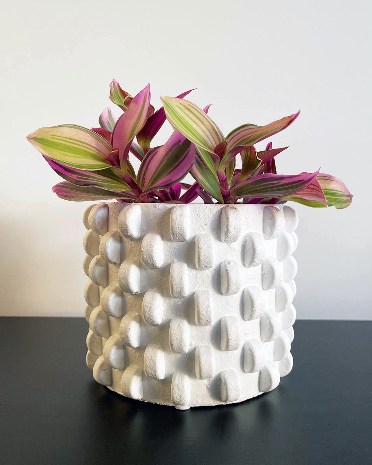 Pots & Planters - Chelsea Chelsea