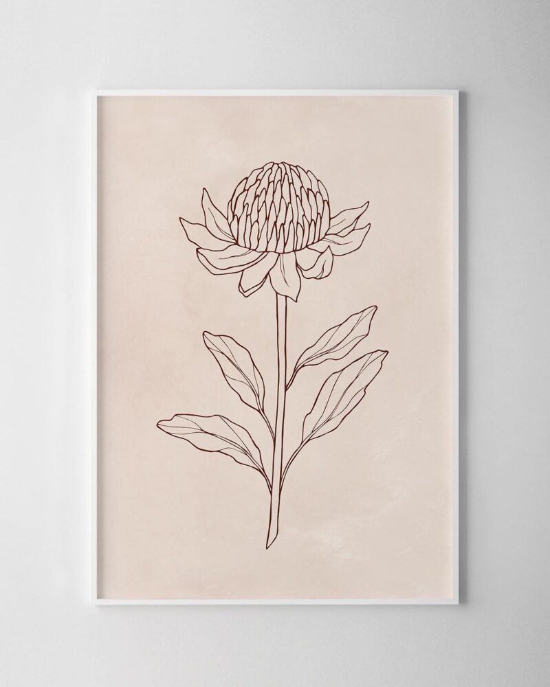 Native Illustrative Print – Waratah - Chelsea Chelsea