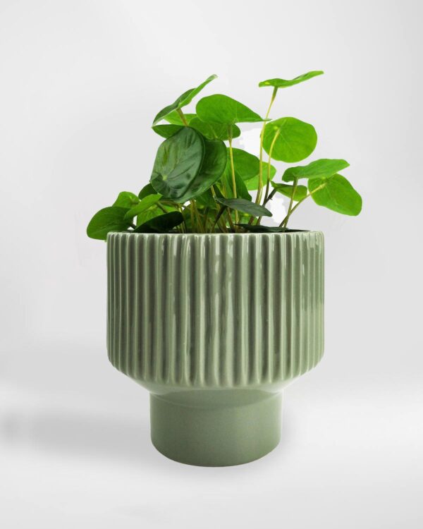 Pots & Planters - Page 2 of 3 - Chelsea Chelsea