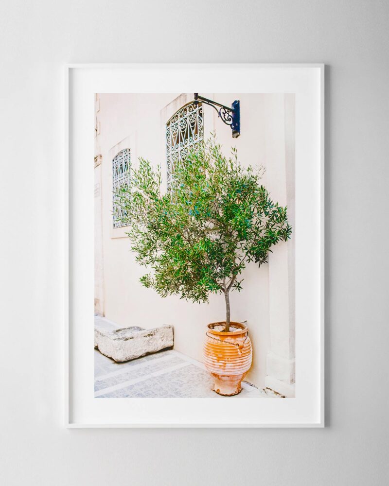 Olive Tree Print - Chelsea Chelsea