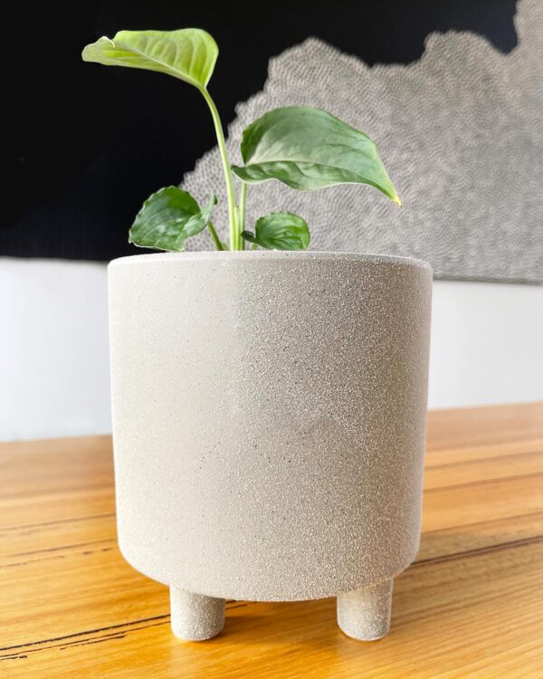 Pots & Planters - Chelsea Chelsea