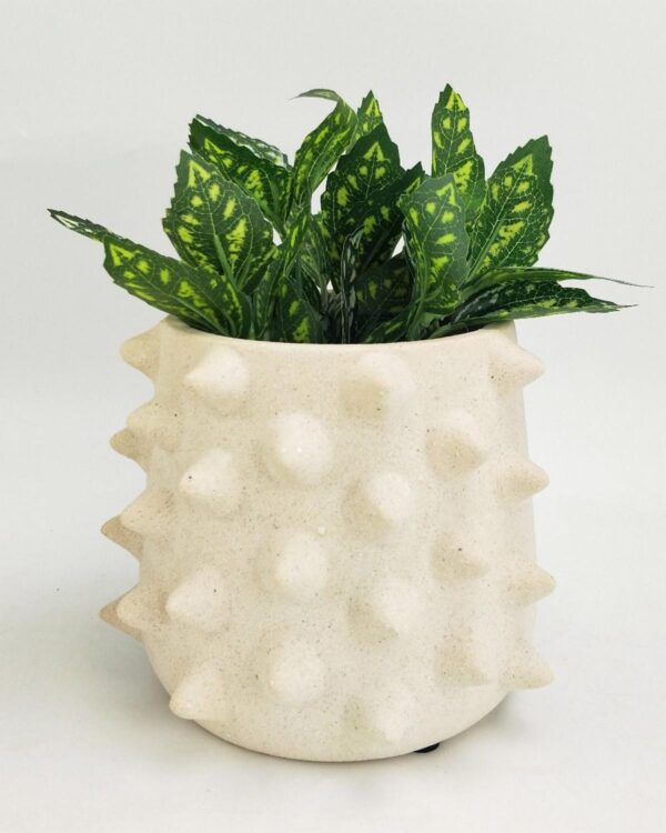 Pots & Planters - Page 3 of 4 - Chelsea Chelsea