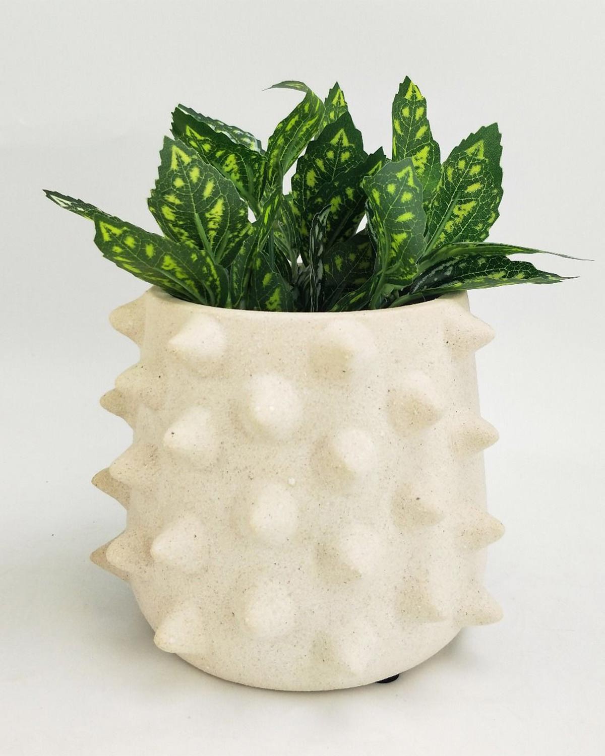 Pots & Planters - Page 3 of 5 - Chelsea Chelsea