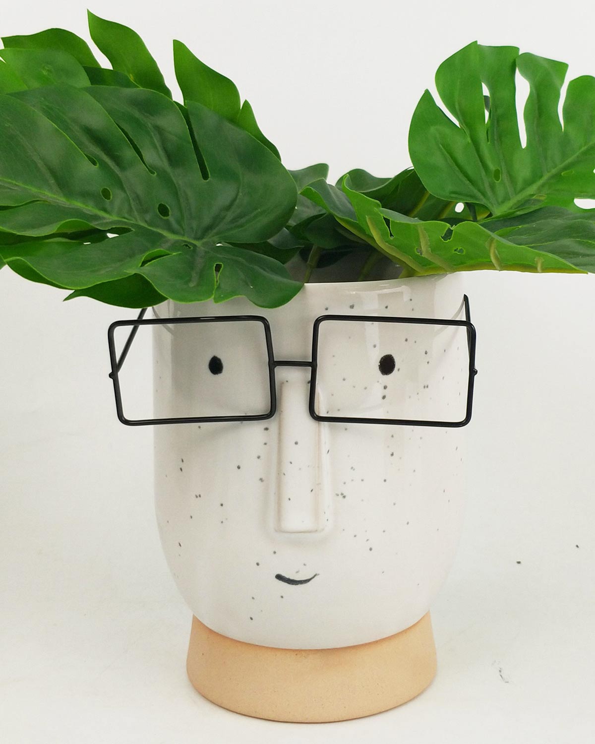 Pots & Planters - Chelsea Chelsea