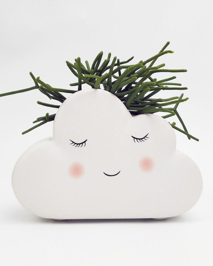 Pots & Planters - Page 2 of 4 - Chelsea Chelsea