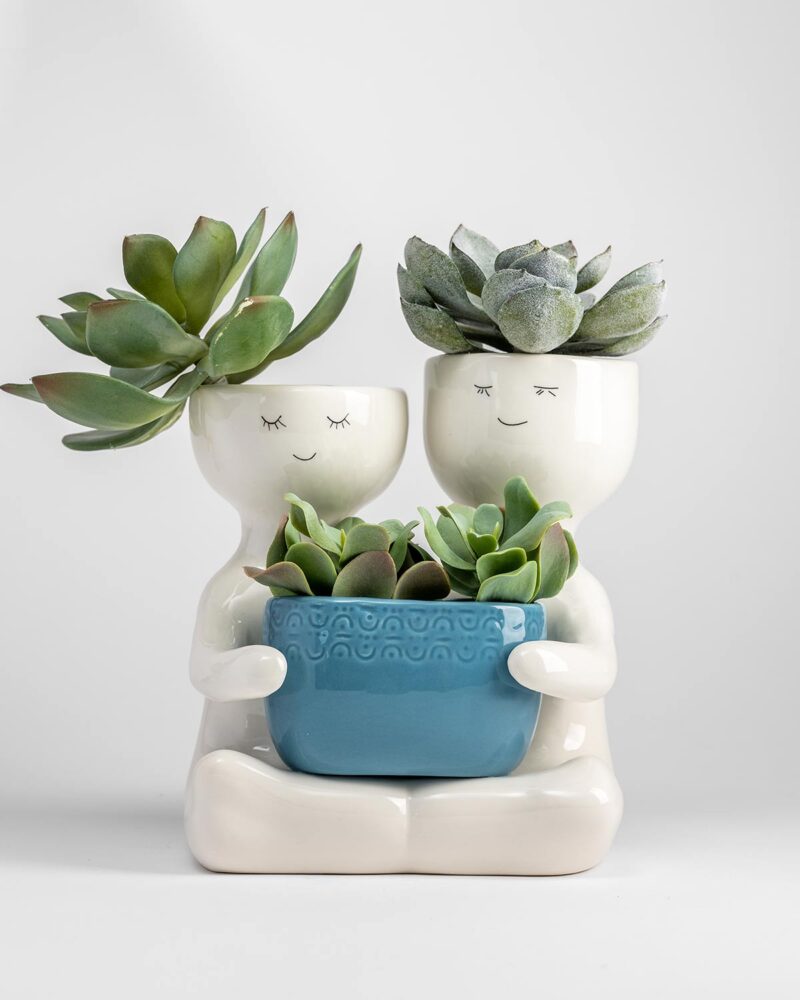 Friends Planter – Blue - Chelsea Chelsea