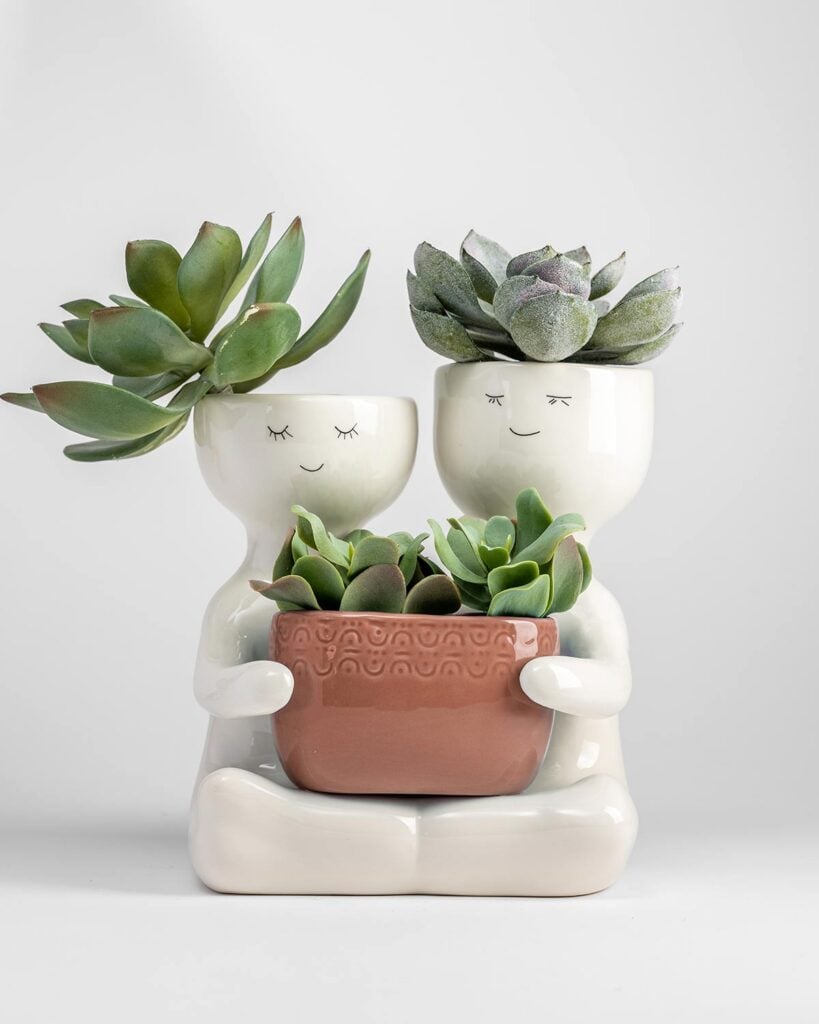 Pots & Planters - Page 4 of 8 - Chelsea Chelsea
