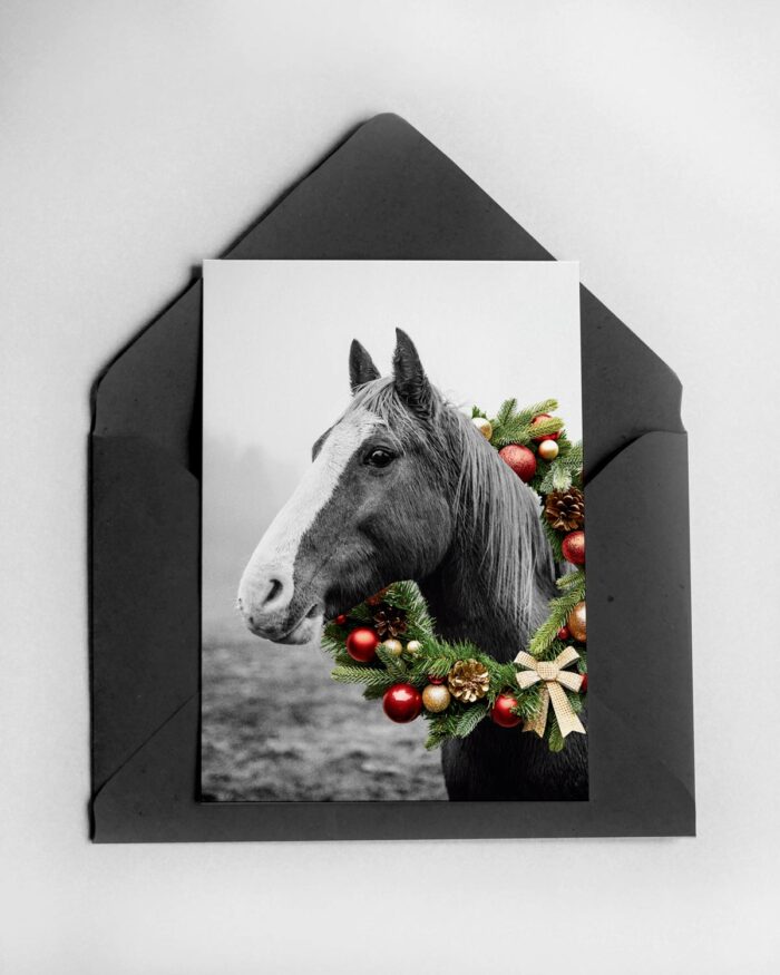 Christmas Card – Horse - Chelsea Chelsea