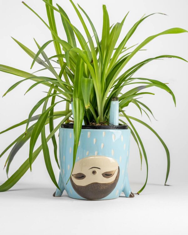 Pots & Planters - Page 6 of 11 - Chelsea Chelsea