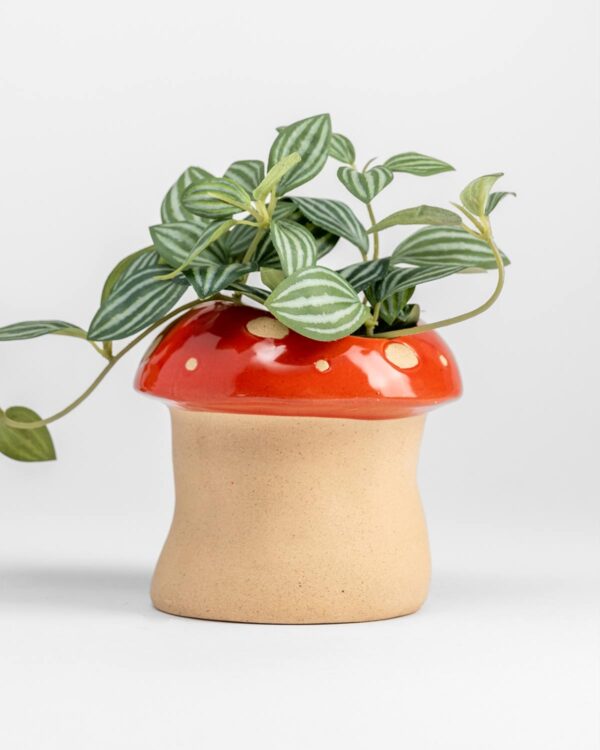 Pots & Planters - Page 7 of 7 - Chelsea Chelsea