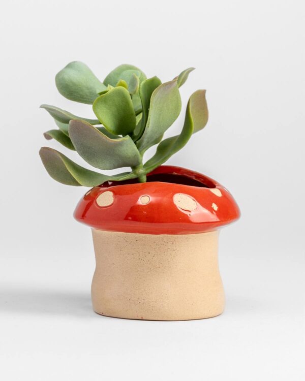 Pots & Planters - Page 8 of 8 - Chelsea Chelsea