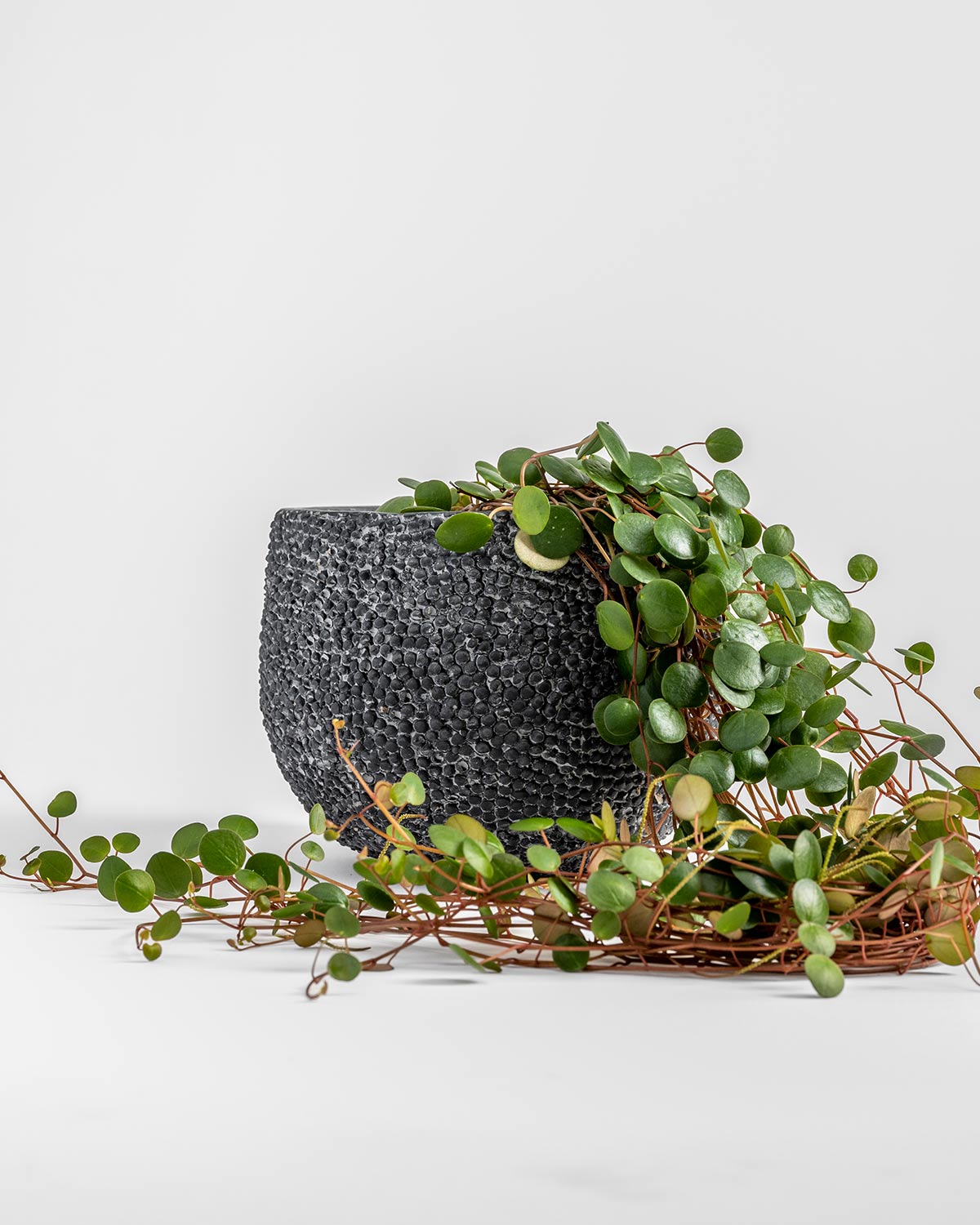 Pots & Planters - Page 5 of 6 - Chelsea Chelsea