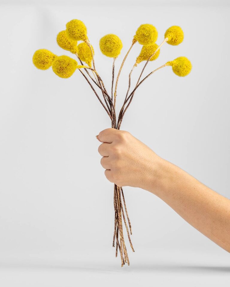 Artificial Plants - Chelsea Chelsea