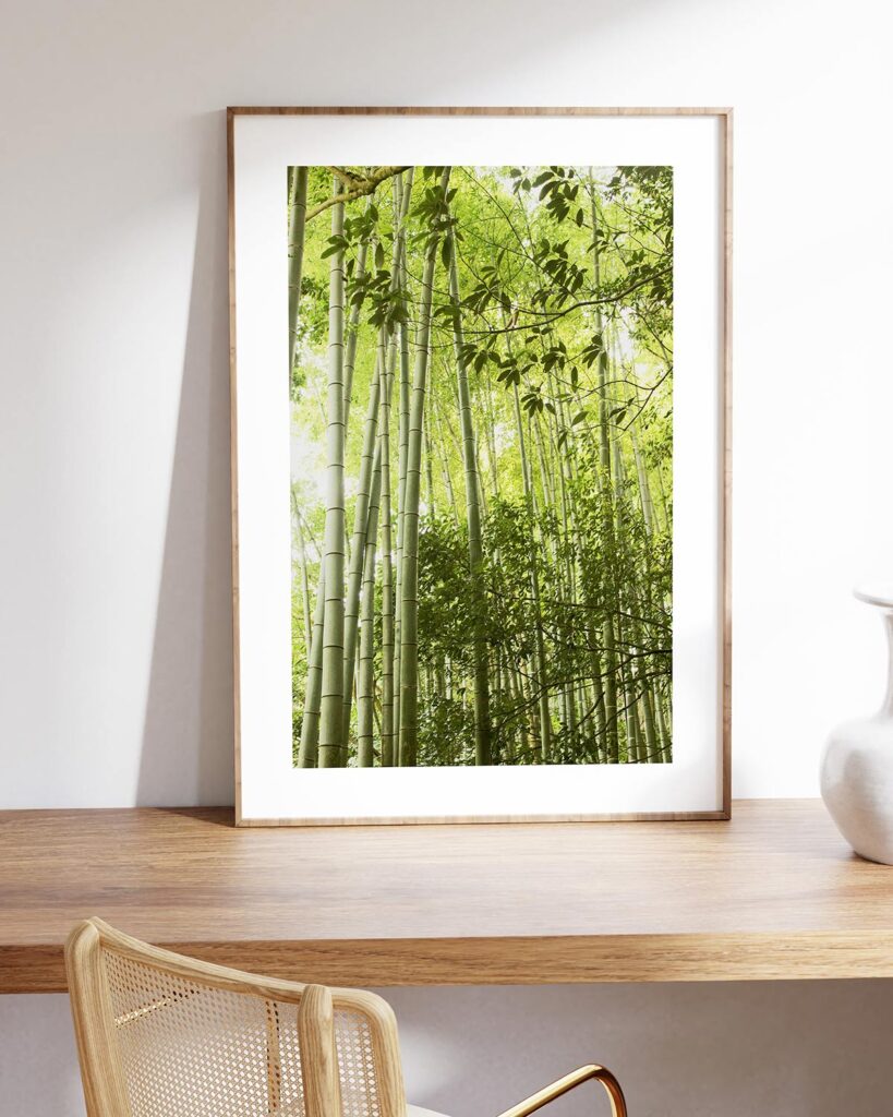 Bamboo Forest Print No.2 • Wall Art Print • Chelsea Chelsea