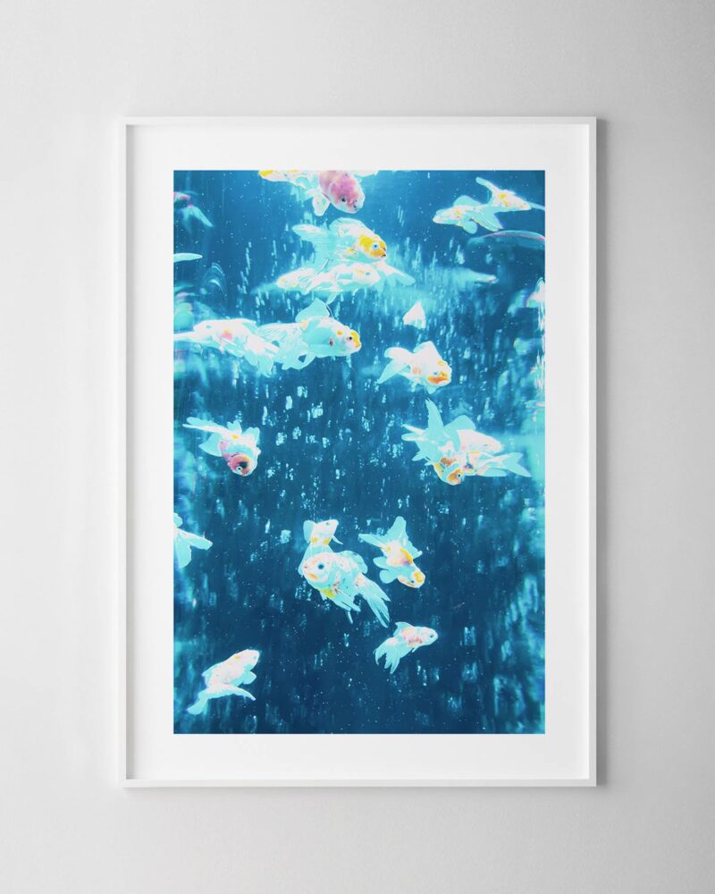 Blue Fish Print - Chelsea Chelsea