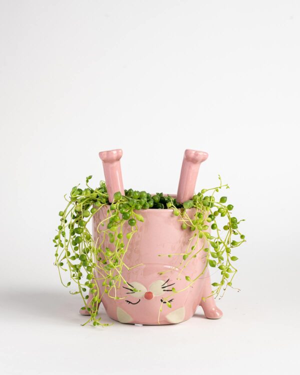 Pots & Planters - Page 4 of 6 - Chelsea Chelsea