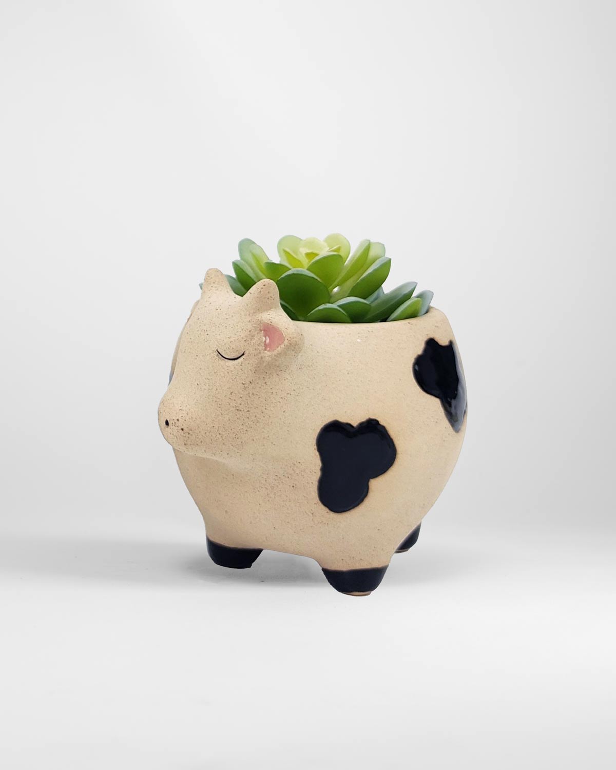Cow Planter - Chelsea Chelsea