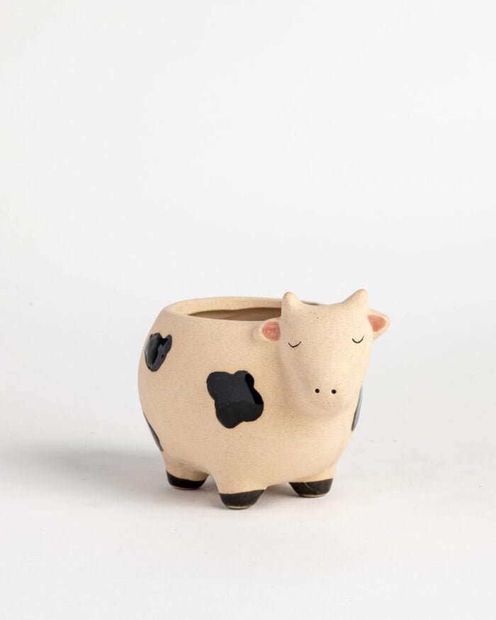 Cow Planter - Chelsea Chelsea