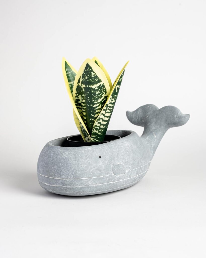 Moby Whale Planter - Chelsea Chelsea