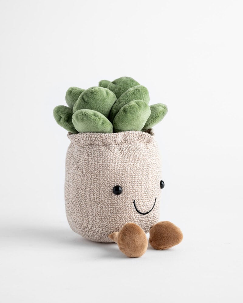 Succulent Plush Toy - Beige - Chelsea Chelsea