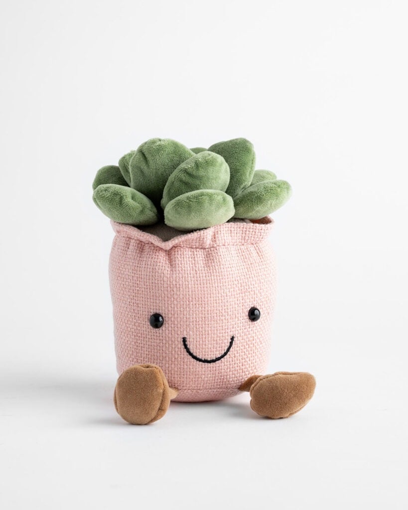 Succulent Plush Toy - Pink - Chelsea Chelsea
