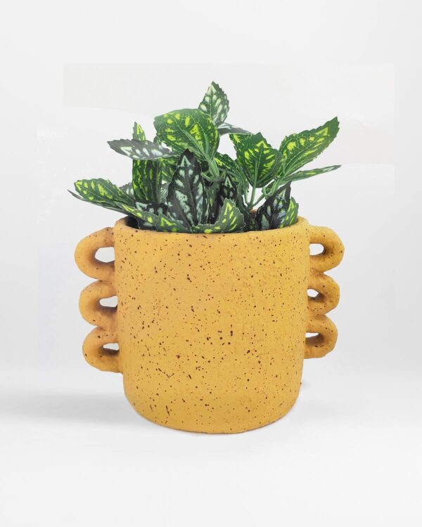 Pots & Planters - Page 3 of 7 - Chelsea Chelsea
