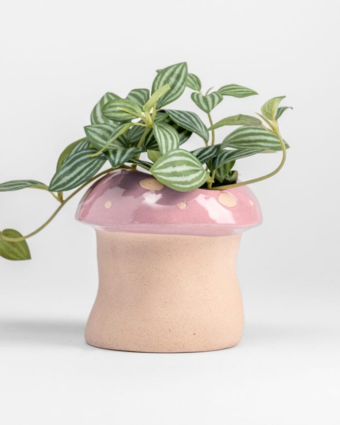 Toadstool Planter – Pink – Large - Chelsea Chelsea