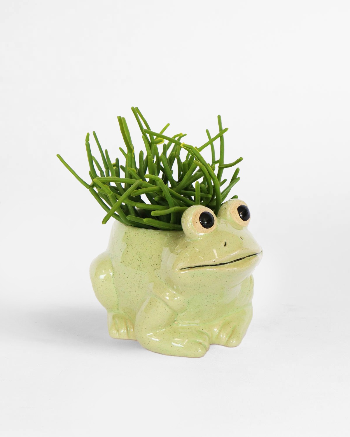 Frog Planter - Chelsea Chelsea