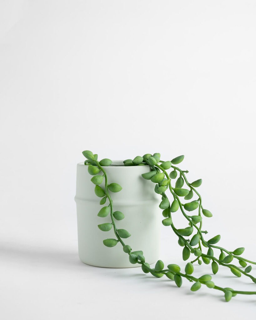 Indoor Planters & Plant Decor | Chelsea Chelsea