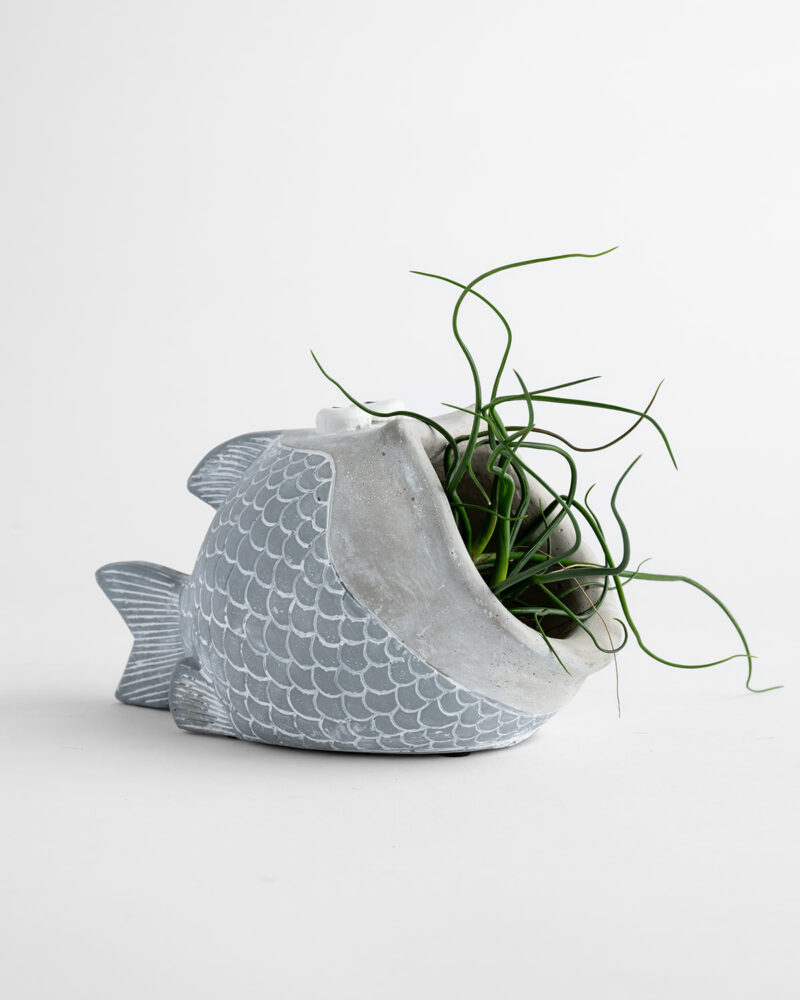 Fish Planter - Chelsea Chelsea
