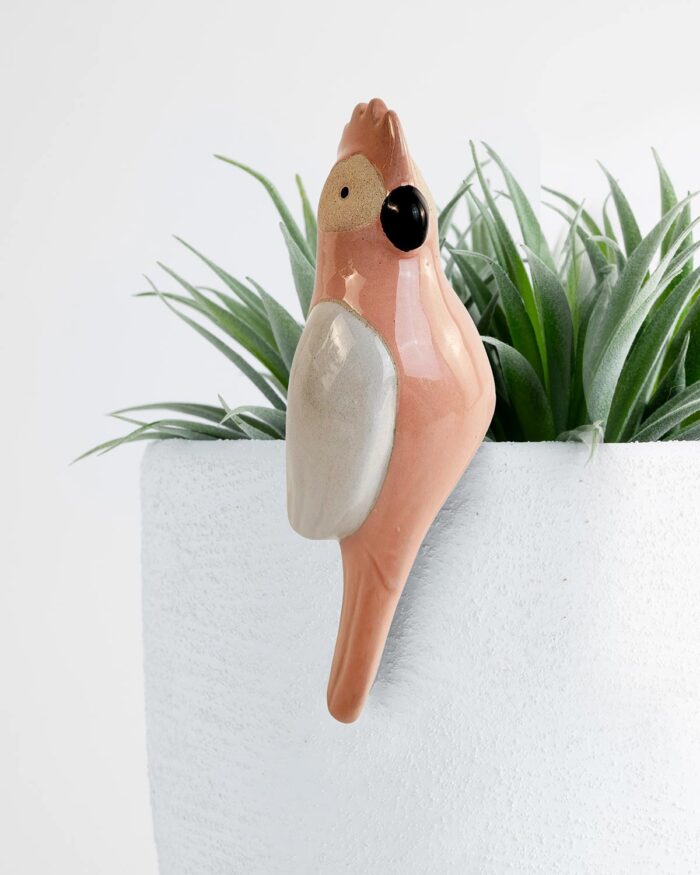 Galah Pot Hanger • Australian Bird Gift • Chelsea Chelsea