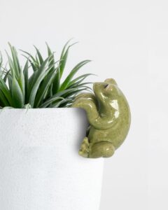 Frog Pot Hanger • Plant Lover Gift • Chelsea Chelsea