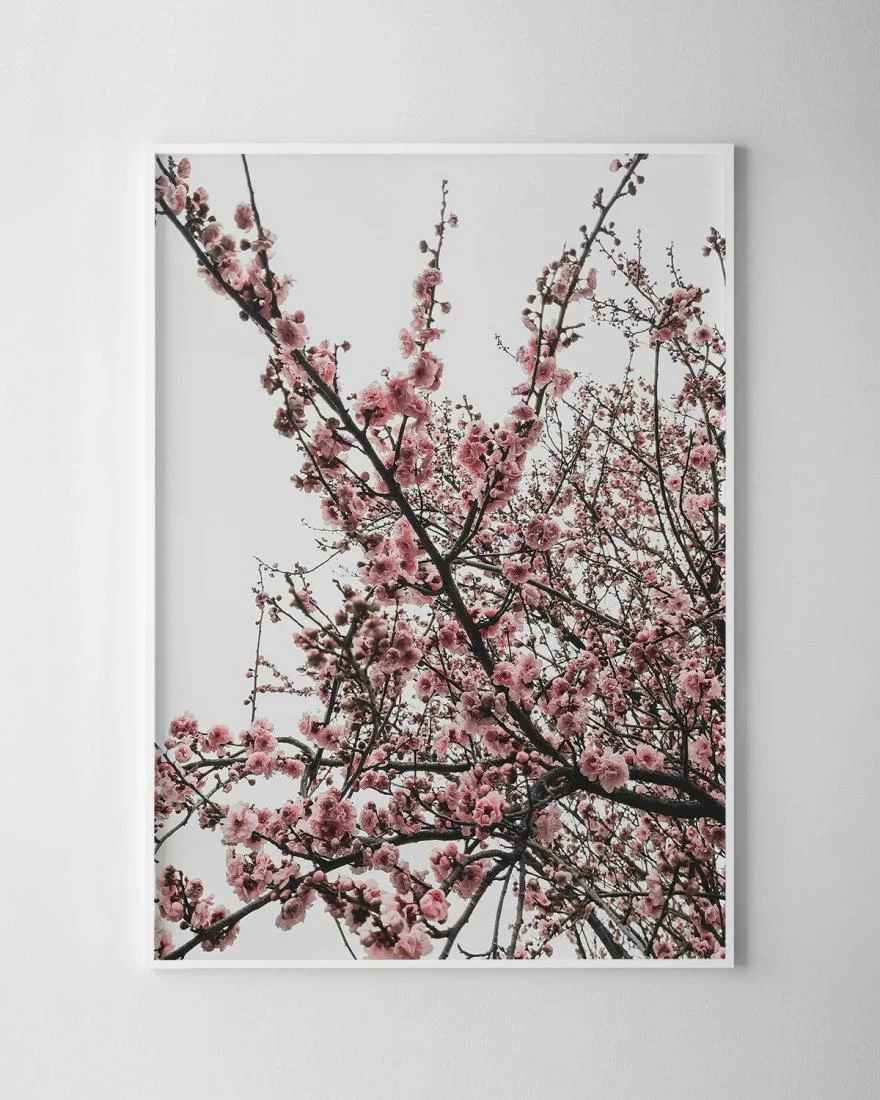 Cherry Blossoms Print No.1 - Chelsea Chelsea